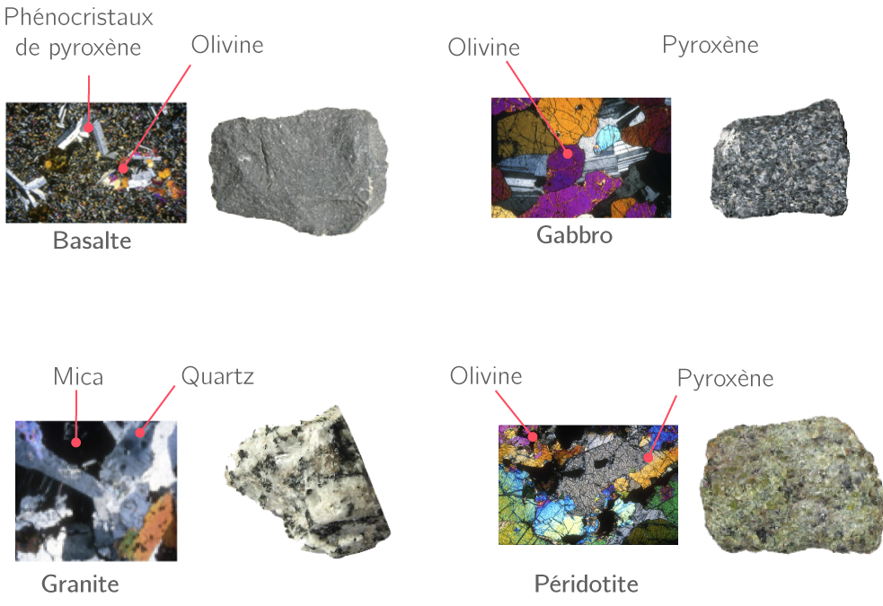 Kartable | 1ère S : SVT Spécifique - Exercices de connaissances ...