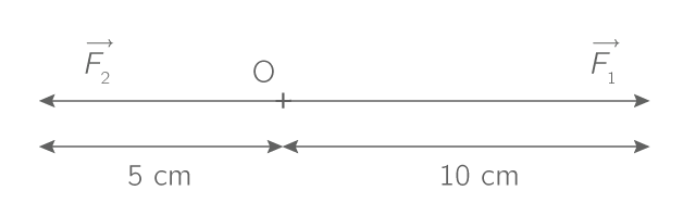Représenter un vecteur force en utilisant une échelle - 2nde - Exercice ...