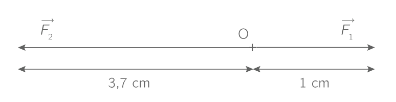 Représenter un vecteur force en utilisant une échelle - 2nde - Exercice ...