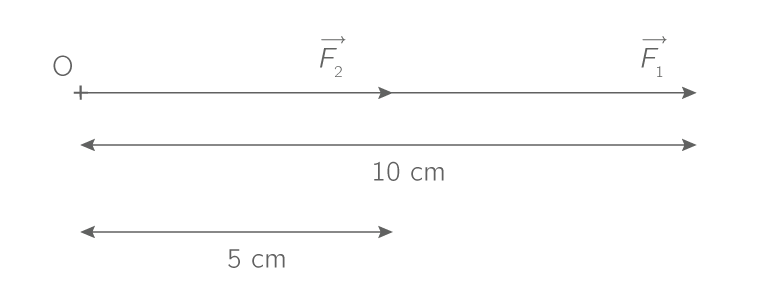 Représenter un vecteur force en utilisant une échelle - 2nde - Exercice ...