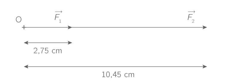 Représenter un vecteur force en utilisant une échelle - 2nde - Exercice ...