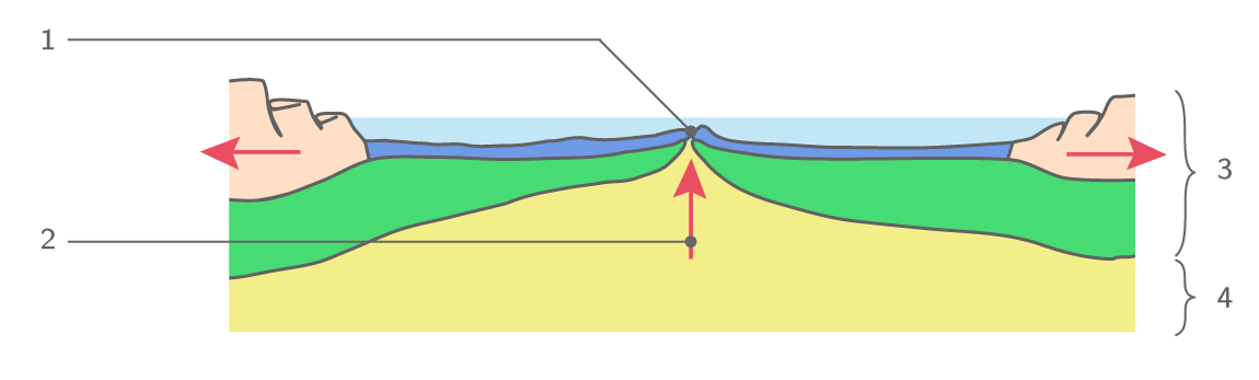 Légender un schéma représentant une accrétion océanique - 4e - Exercice ...