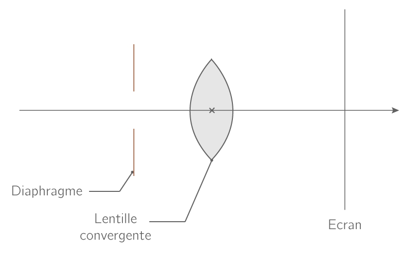 L'œil : système optique et formation des images - Cours Sciences - Kartable