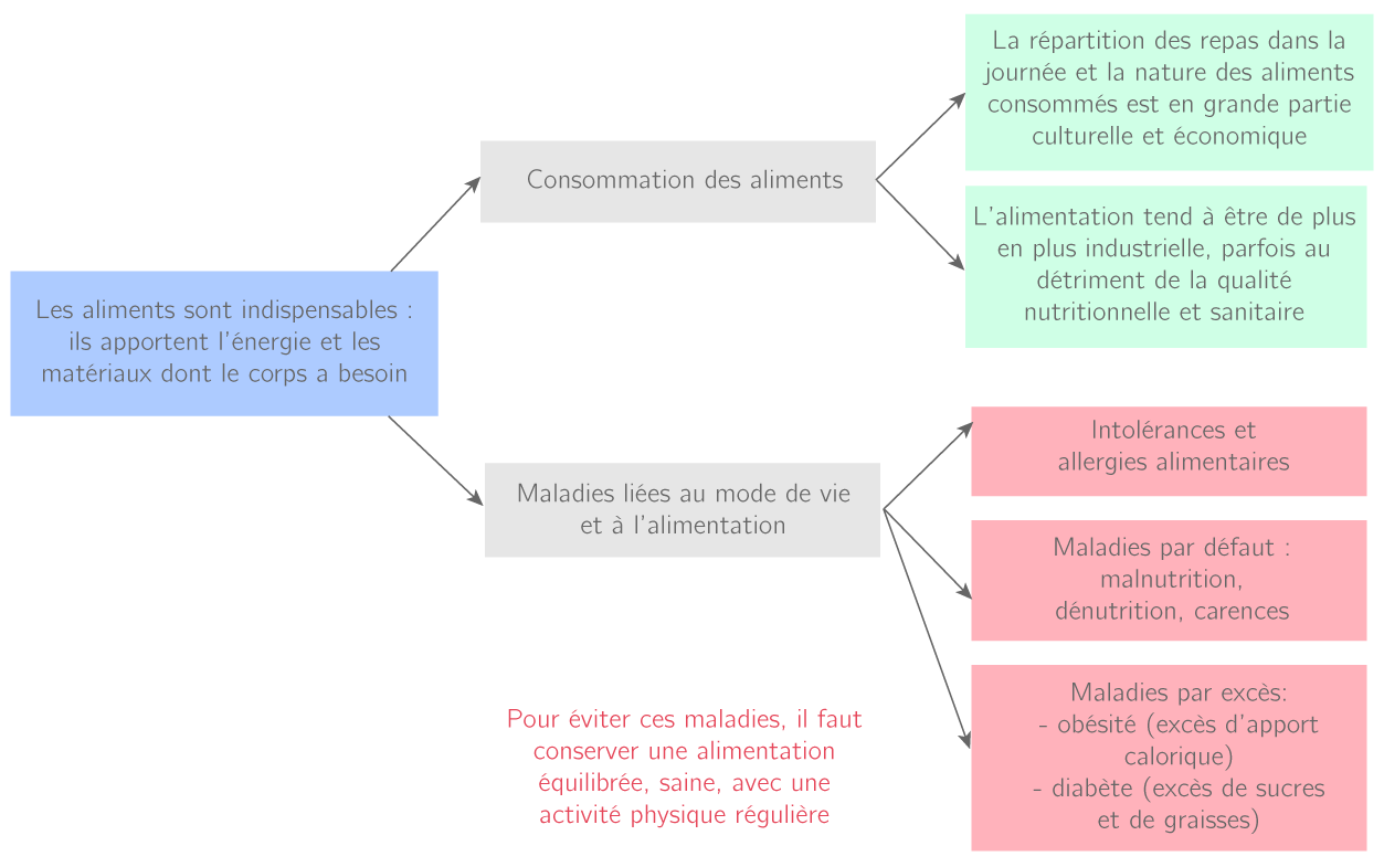 L'alimentation humaine et la santé - 3e - Schéma de synthèse SVT - Kartable