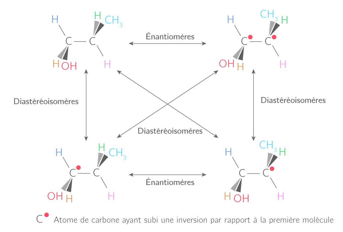 La stéréoisomérie - Cours Physique-Chimie - Kartable