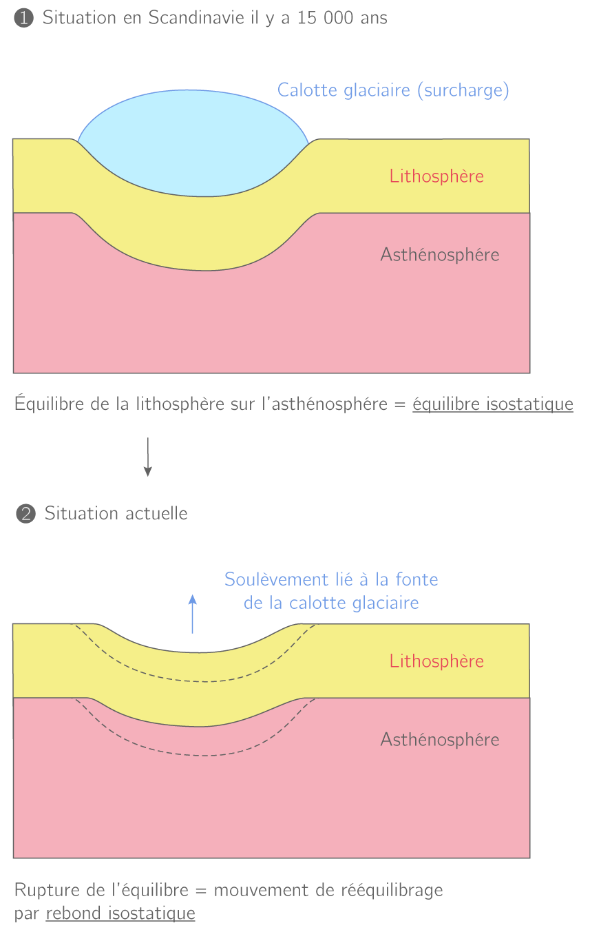 Kartable | Terminale S : SVT Spécifique - Exercices de connaissances ...