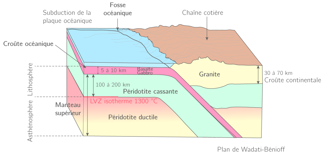 La subduction océanique - 1S - Schéma de synthèse SVT - Kartable