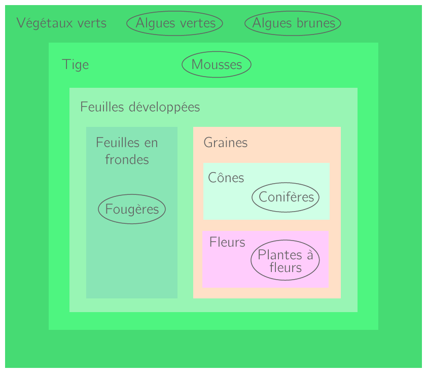 La classification des végétaux - 4e - Fiche mémo SVT - Kartable