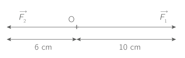 Représenter un vecteur force en utilisant une échelle - 2nde - Exercice ...