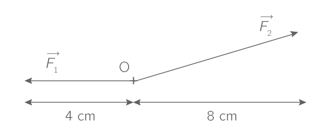Représenter un vecteur force en utilisant une échelle - 2nde - Exercice ...