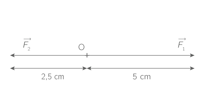 Représenter un vecteur force en utilisant une échelle - 2nde - Exercice ...