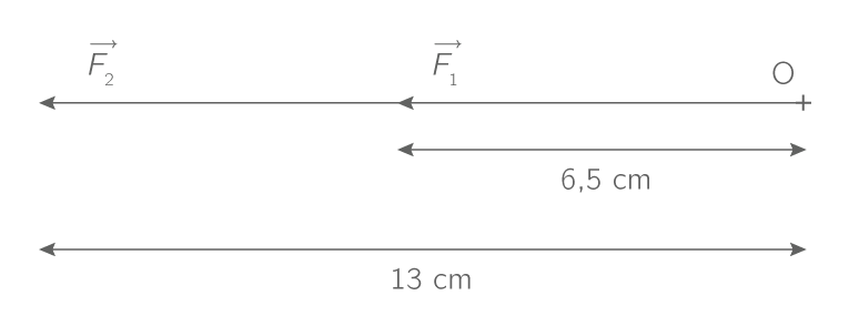 Représenter un vecteur force en utilisant une échelle - 2nde - Exercice ...