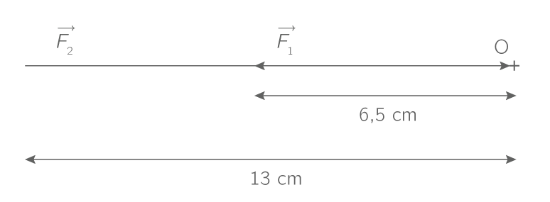 Représenter un vecteur force en utilisant une échelle - 2nde - Exercice ...