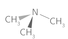 Représenter une molécule de façon topologique - 1S - Exercice Physique ...