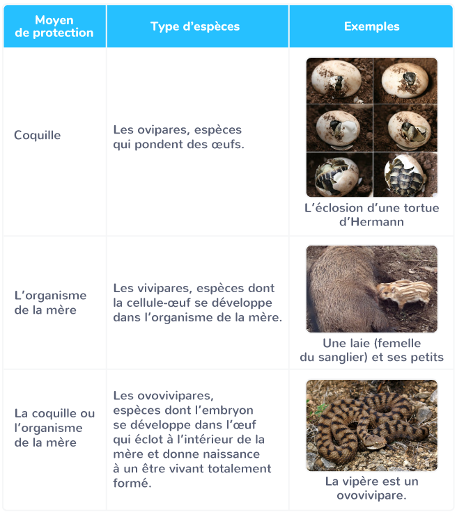 Les différents modes de reproduction - 5e - Cours SVT - Kartable