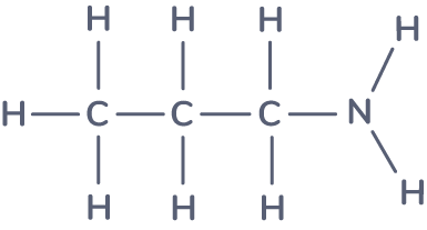 Déterminer le schéma de Lewis d'une amine - Tle - Exercice Physique ...