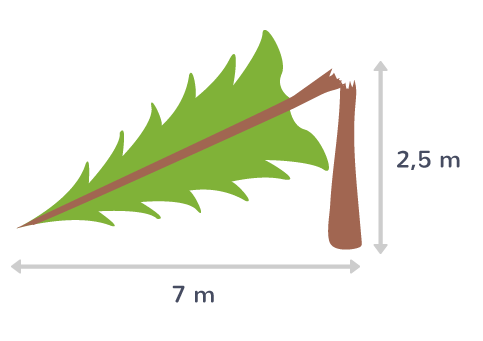 Résoudre un problème de géométrie à l'aide du théorème de Pythagore ...