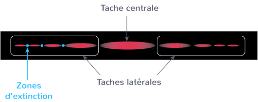 Ondes et signaux - Tle - Fiche bac Physique-Chimie - Kartable